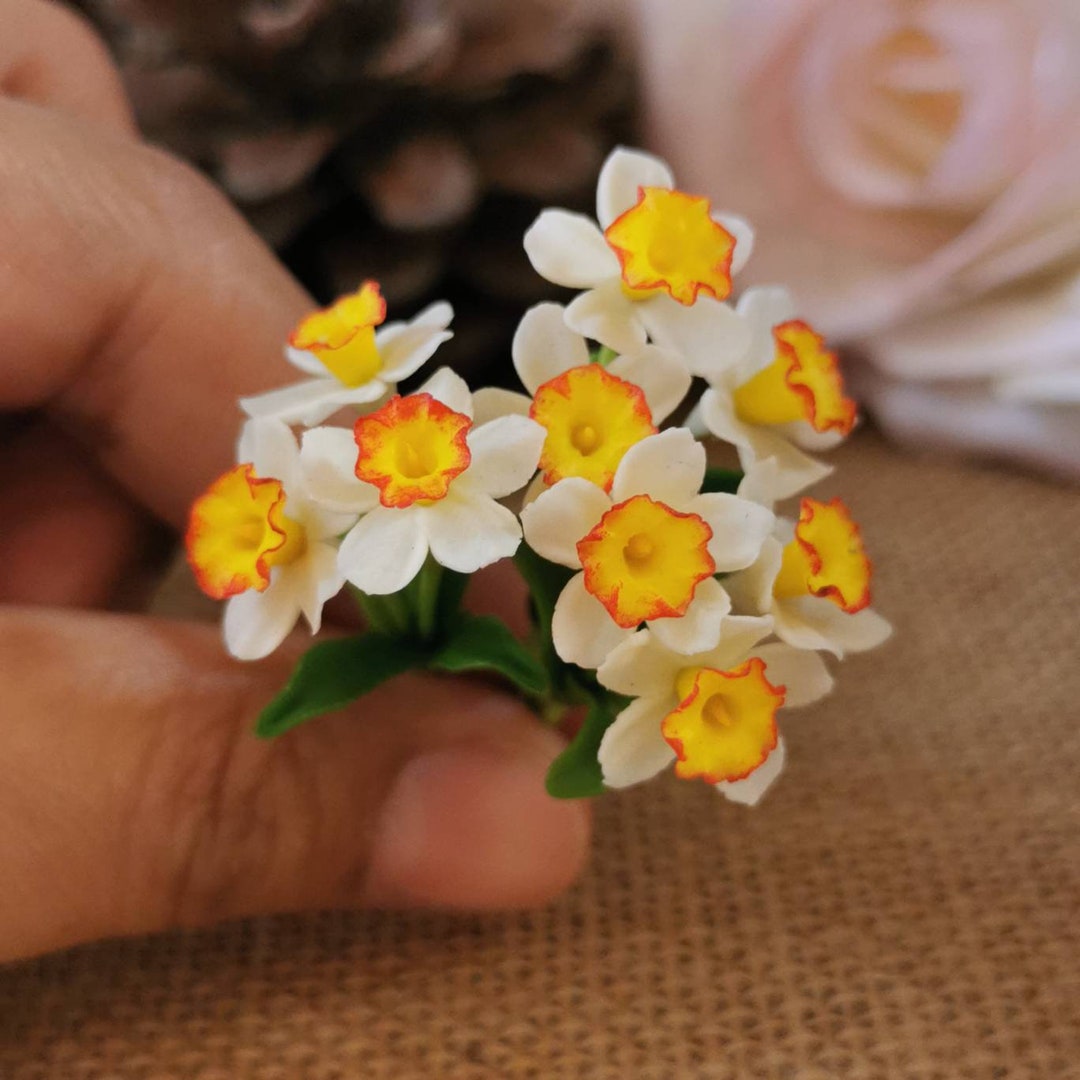 Miniature Dollhouse White Daffodil Bunch: Handmade Clay Flowers - Etsy