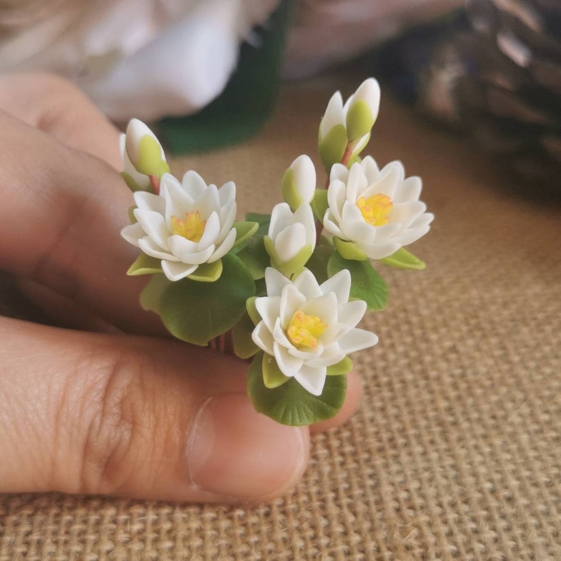 Miniature Water Lily Flower Bunch of Flowersminiature White - Etsy