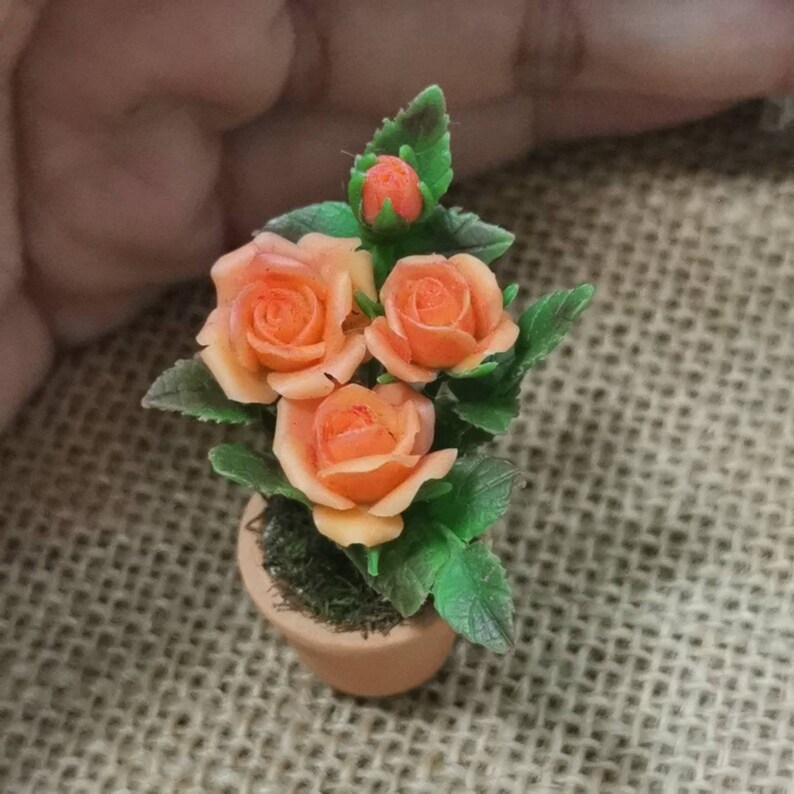 Miniature Coral Color Rose Flower Pot Mini Flower - Etsy