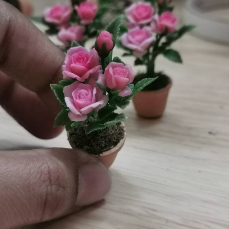 Miniature Pink With Pink Border Color Rose Flower Pot Mini | Etsy