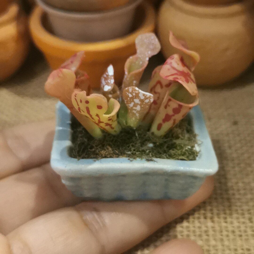 Handmade Miniature Clay Pitcher Plant in Pot: Dollhouse Flower - Etsy