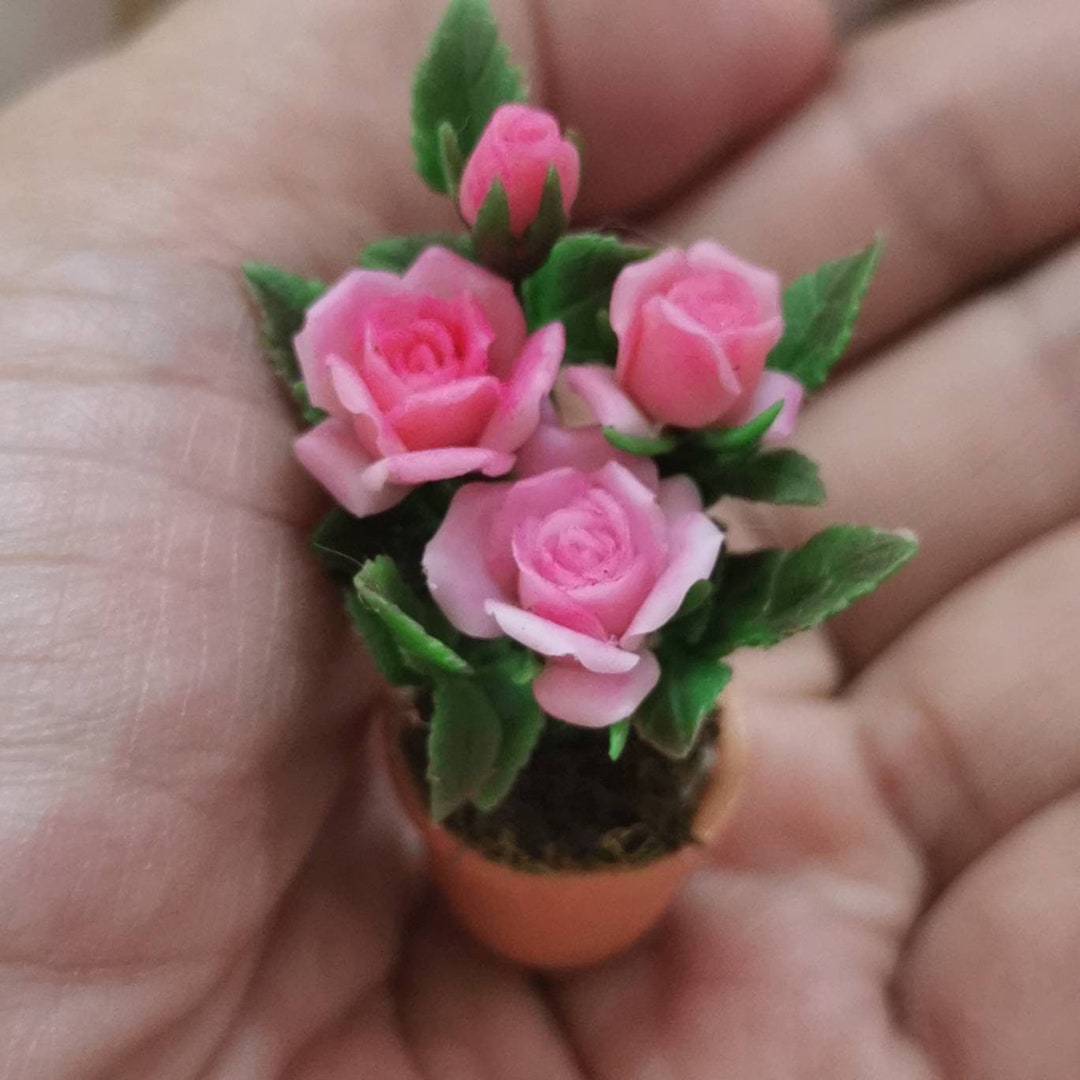Miniature Pink With Pink Border Color Rose Flower Pot Mini - Etsy