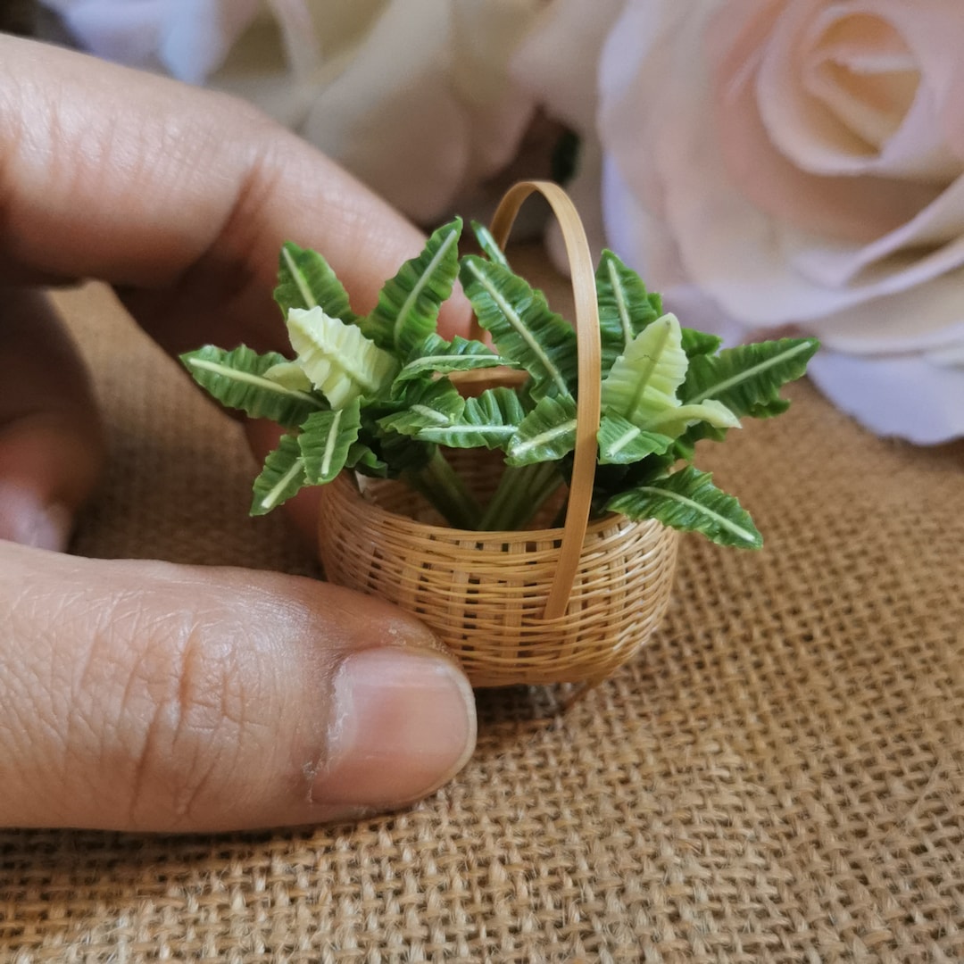 Miniature Clay Fern Plant Bouquets: Dollhouse Decor, Set of 3 - Etsy
