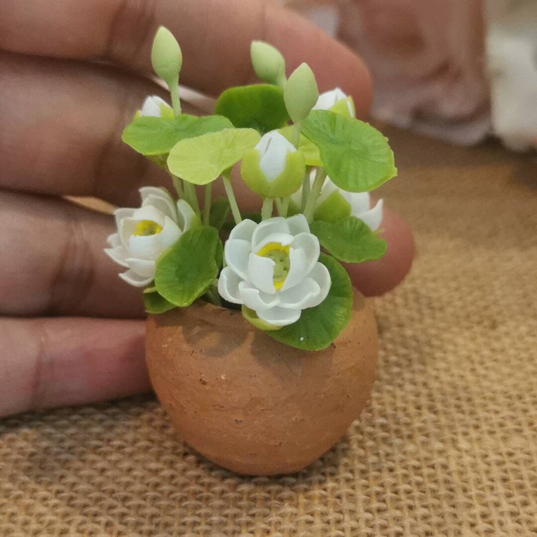 Miniature Lotus Bunch of Flowers,miniature White Color Flower, Water ...