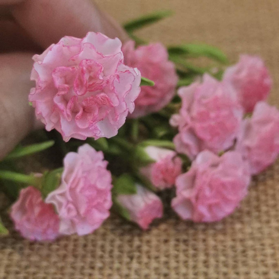 Mini Flower Carnation Bunch of Flower, Miniature Pink Color Flower,mini ...
