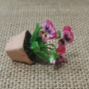 Miniature Pink and White Color Pansy Flower Pot, Mini Flower Pots ...