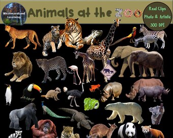 Artistic Clip Art | Etsy