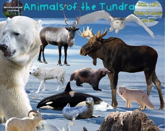 Tundra Clip Art | Etsy
