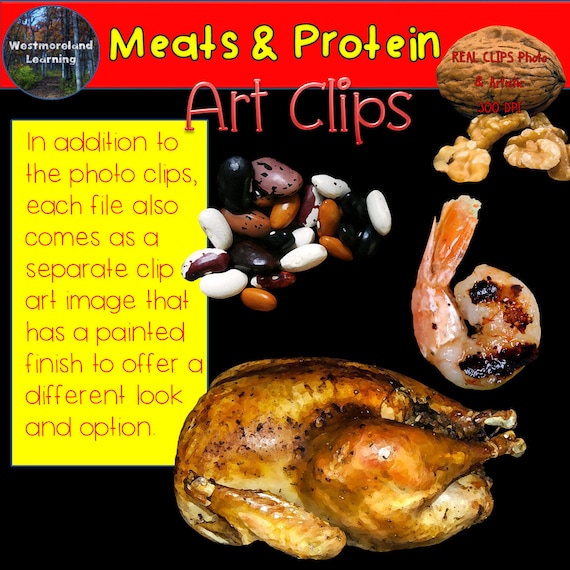 Protein Food Group Clipart