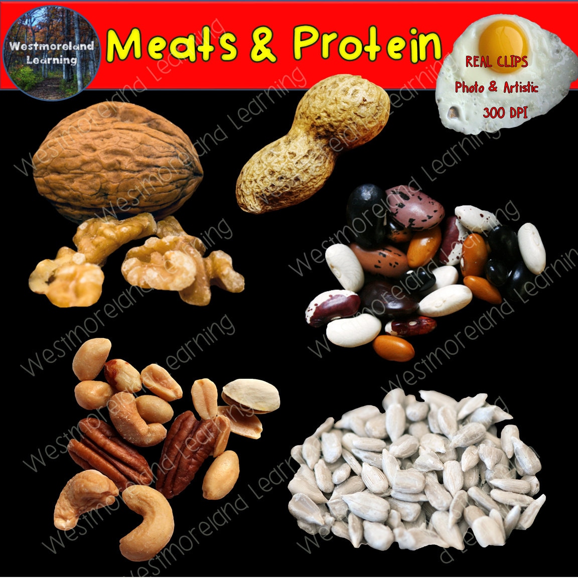Protein Food Group Clipart
