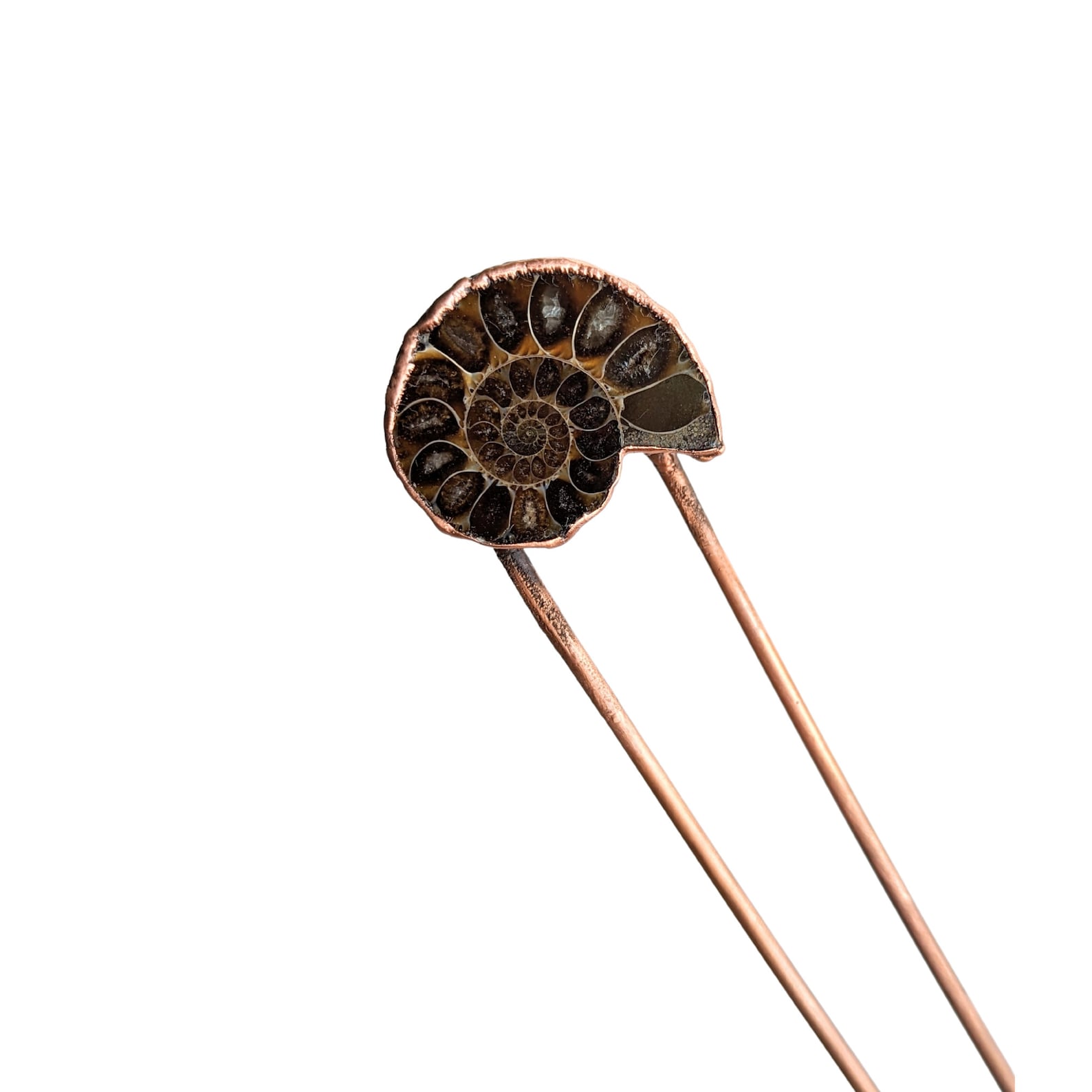Ammonite Fossil Hair Fork | Hair Stick | Boho Hair | Unique Jewelry ...