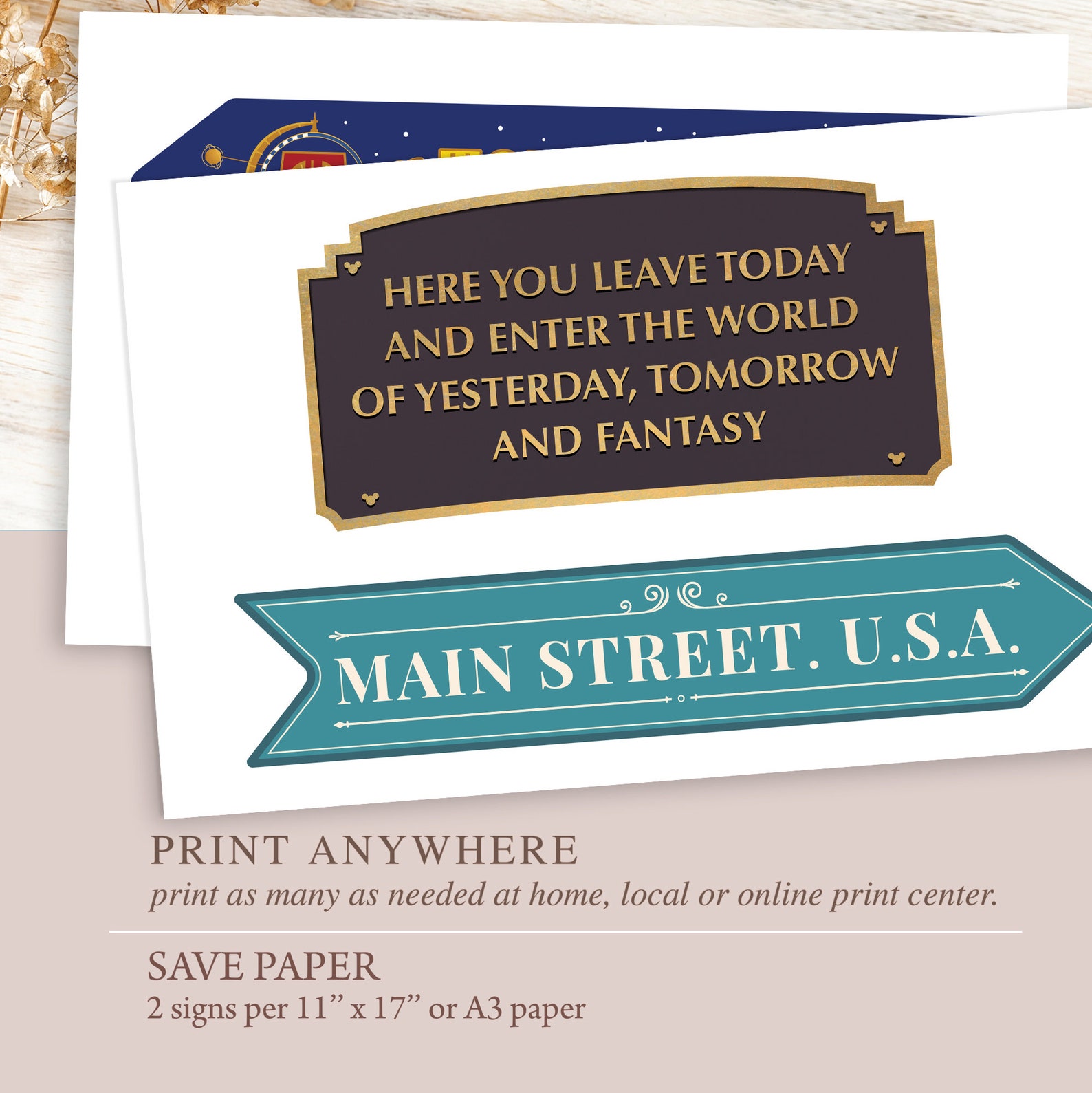 Magic Kingdom Party Directional Sign, Disney World Birthday, Princess ...