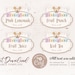 Printable Disneyland Party Drink Label, Mickey Party Beverage Label ...