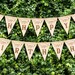 Peter Pan Pennant Banner, Never Grow up Banner, Peter Pan Birthday ...