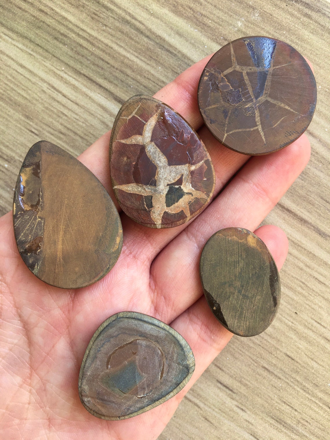 SALE Natural Mud Crack Fossil Cabochongenuine Mud Crack - Etsy UK