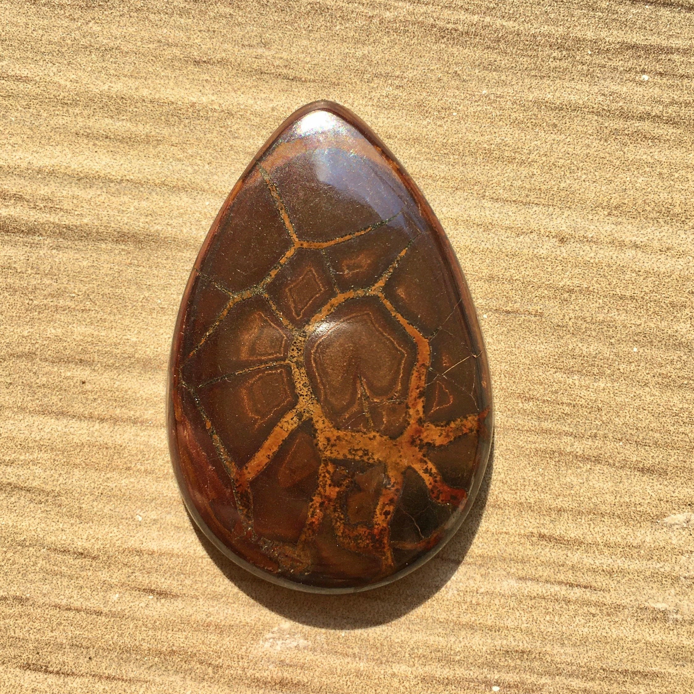 SALE Natural Mud Crack Fossil Cabochon,genuine Mud Crack Fossil ...