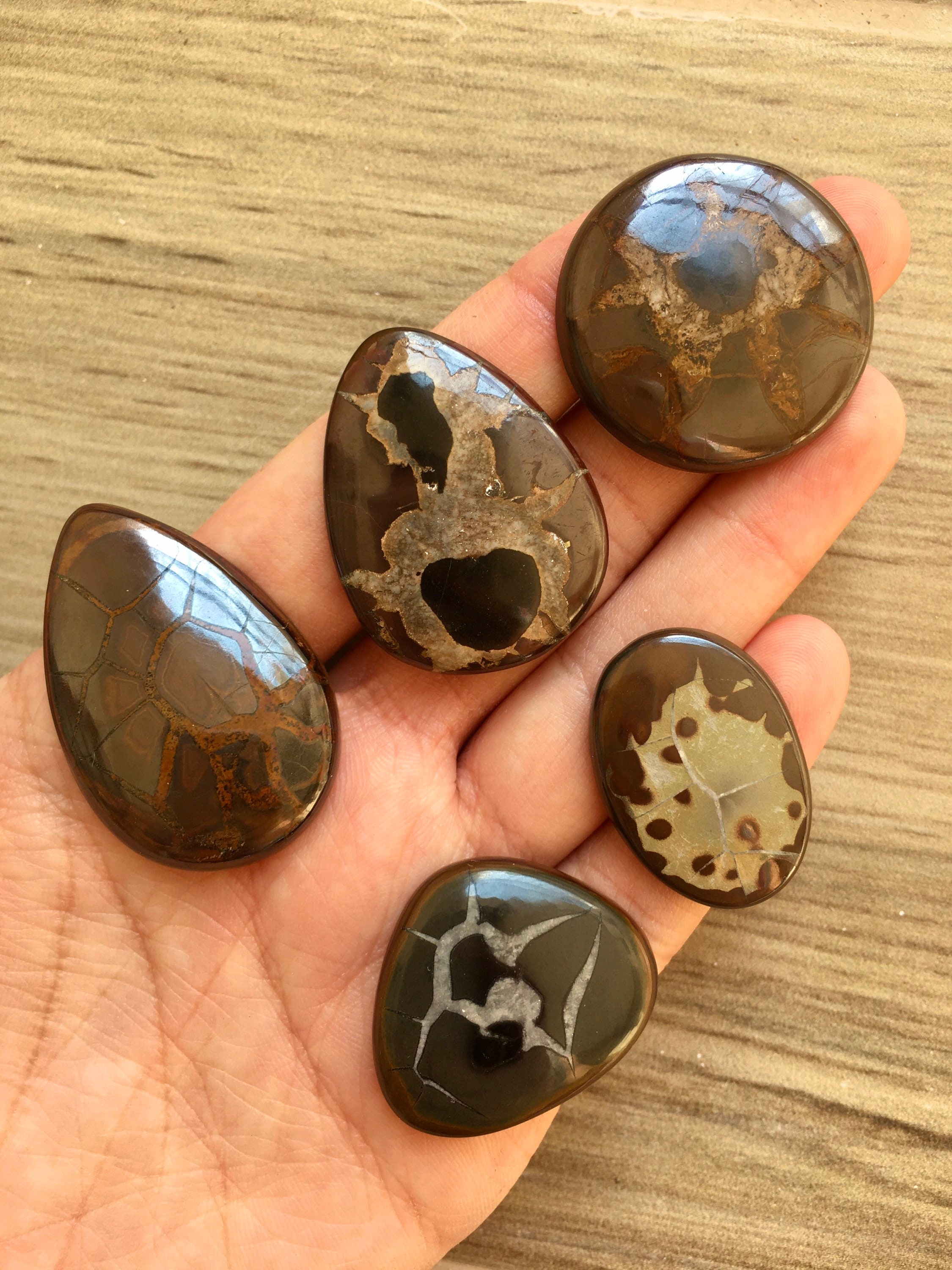 SALE Natural Mud Crack Fossil Cabochon,genuine Mud Crack Fossil ...