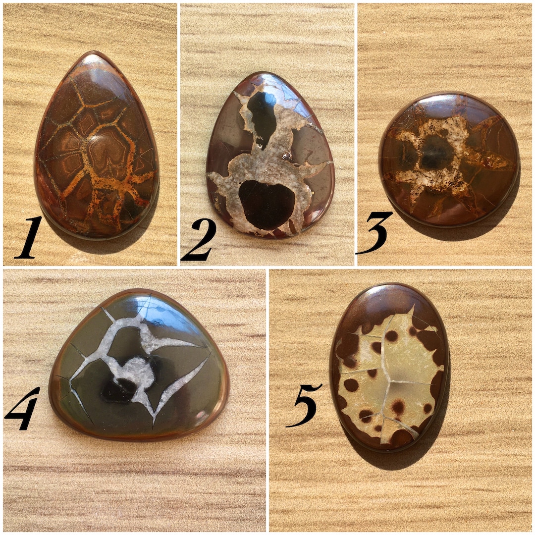 SALE Natural Mud Crack Fossil Cabochon,genuine Mud Crack Fossil ...