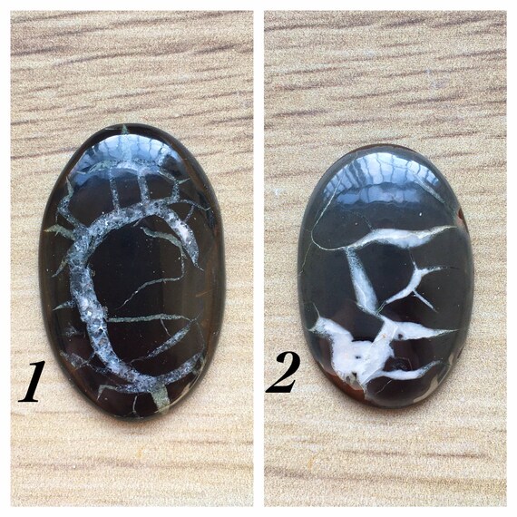 Natural Mud Crack Fossil Cabochon Genuine Mud Crack Fossil - Etsy