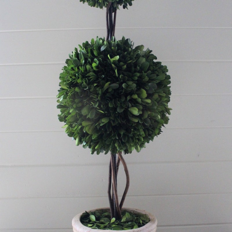 Topiaries - Etsy