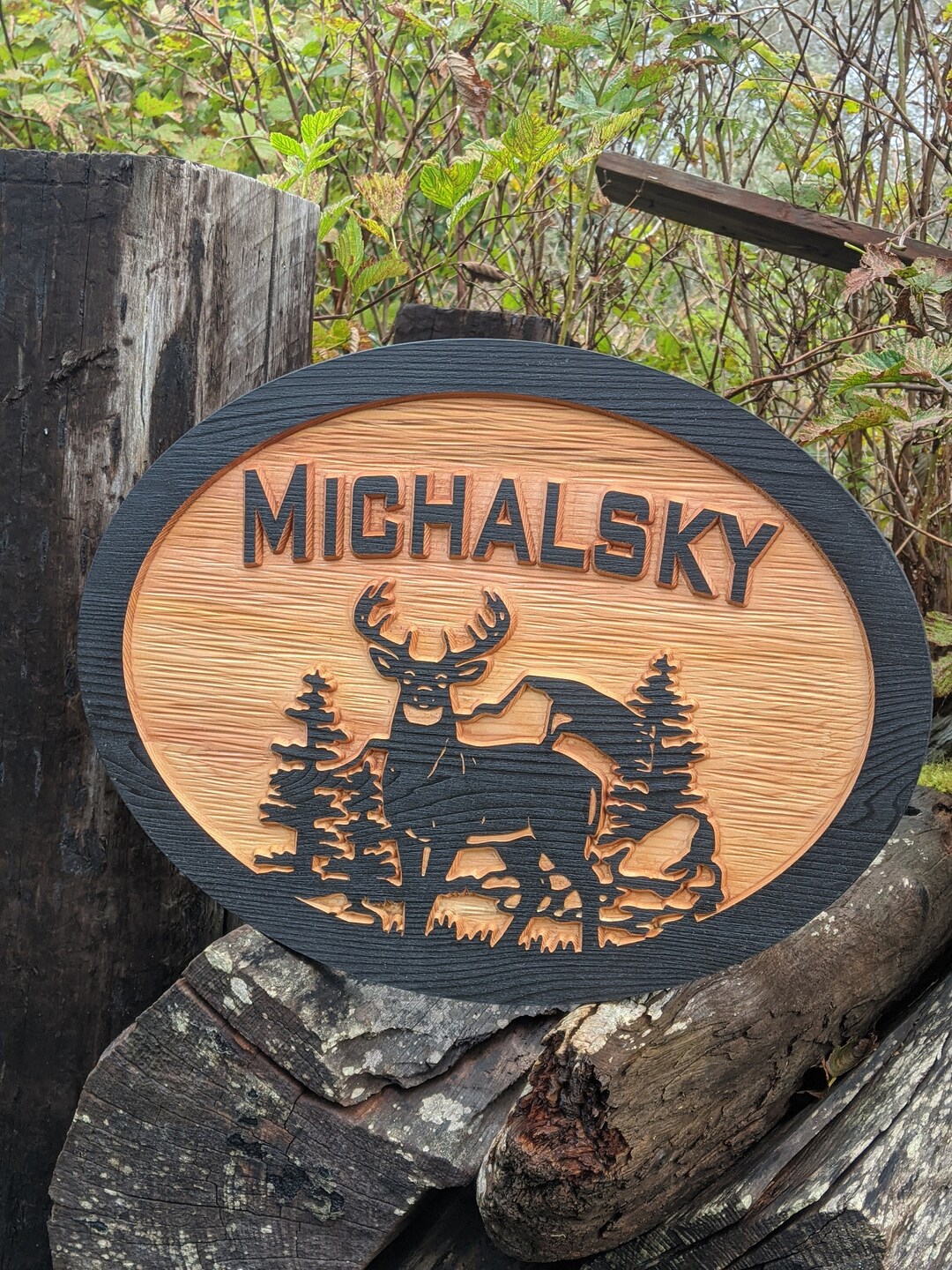 Rustic Cedar Address Sign: Carved Last Name Estate Plaque - Etsy