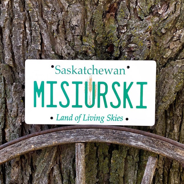 License Plate Art - Etsy Canada