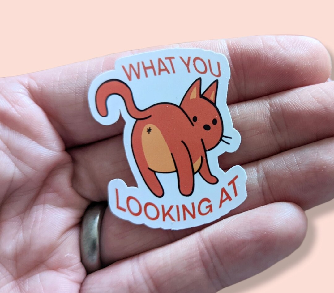 Cat Asshole Funny Sticker Decal Vinyl Humour - Etsy