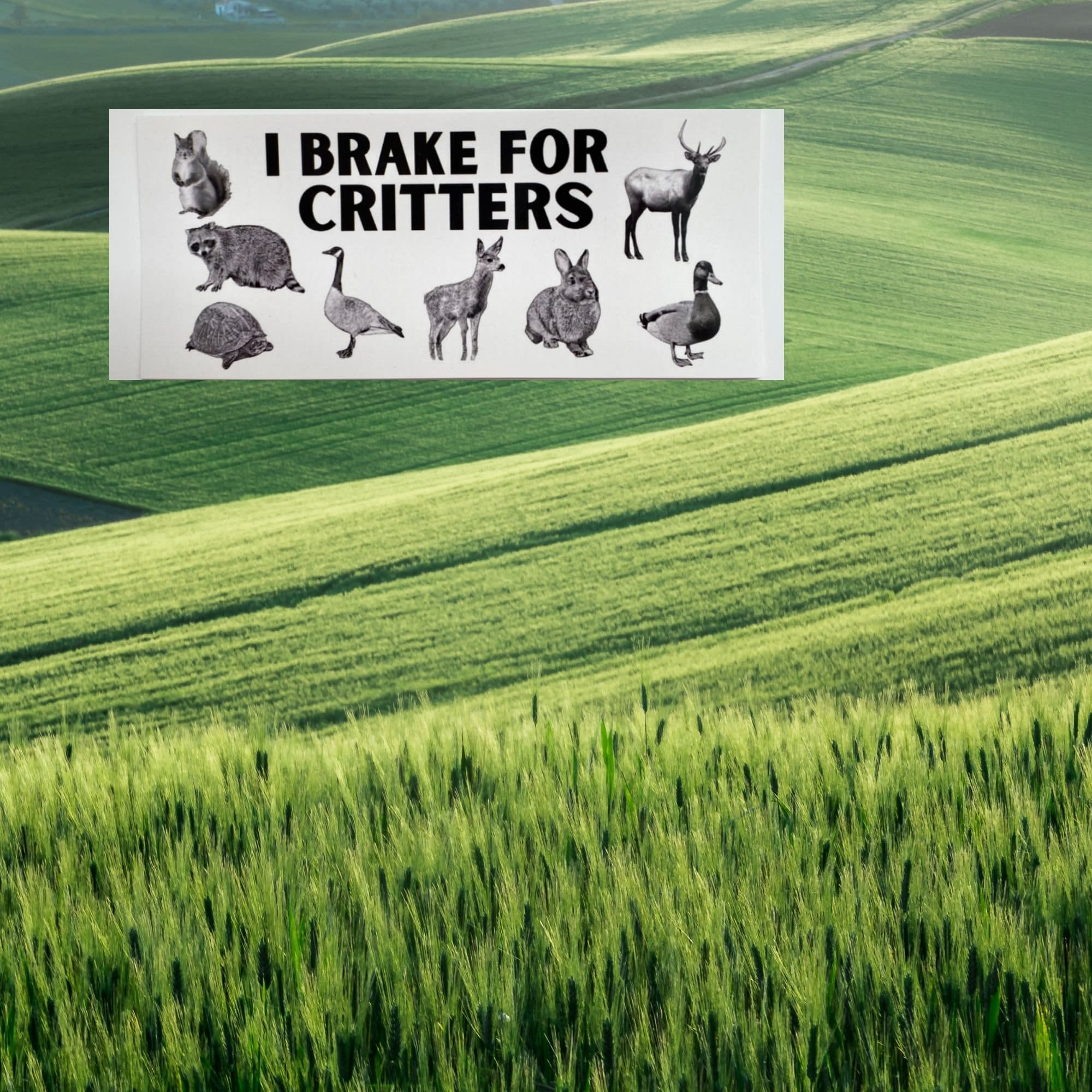 I Brake for Critters Bumper Sticker I Brake for Animals | Etsy