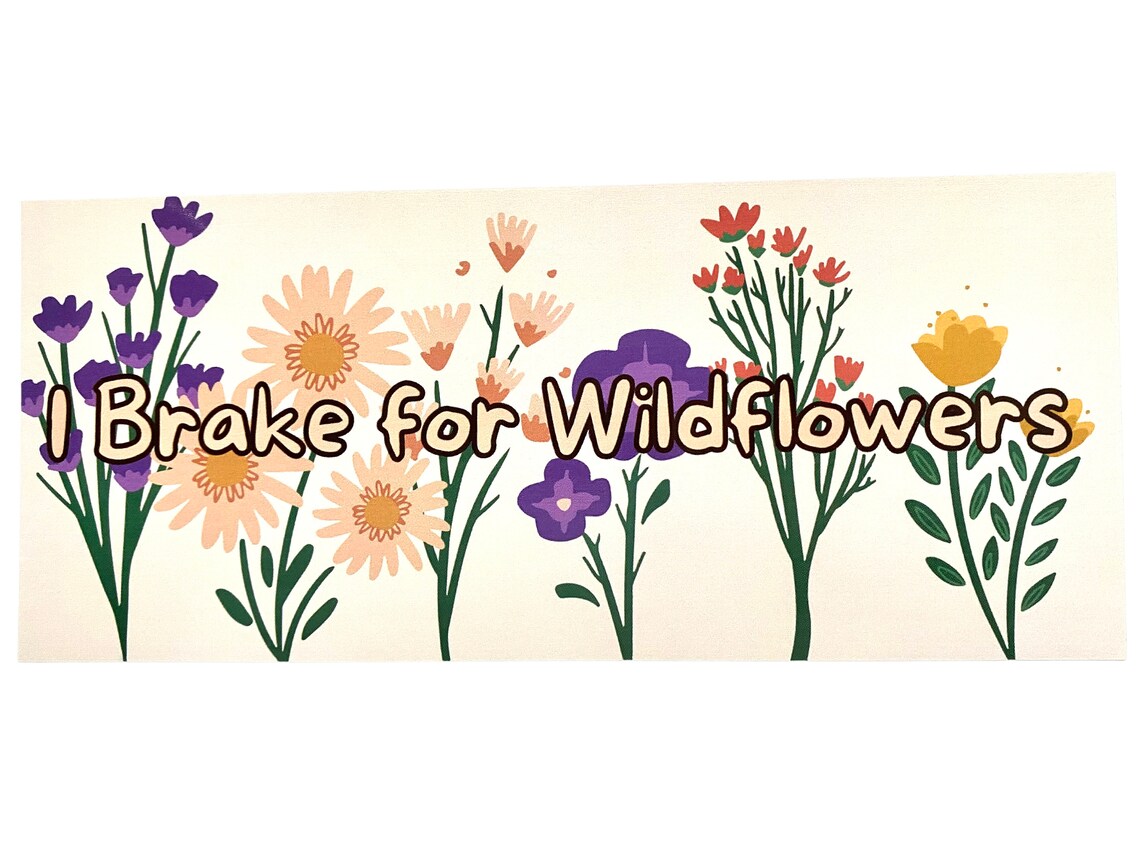I Brake for Wildflowers Meme Bumper Sticker Bumper Sticker - Etsy