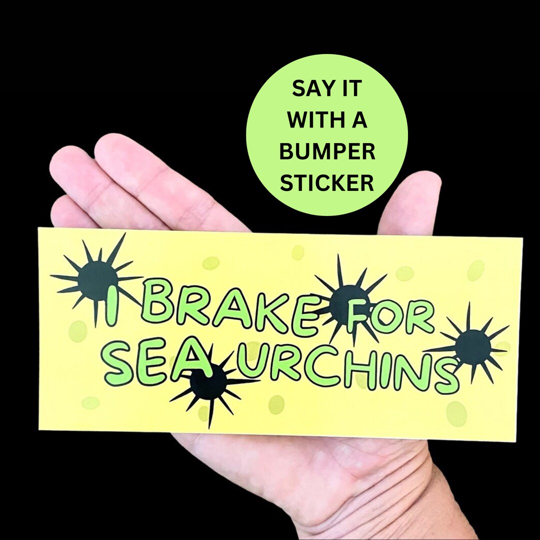 Funny Bumper Sticker, I Brake for Sea Urchins, Meme Bumper Sticker ...