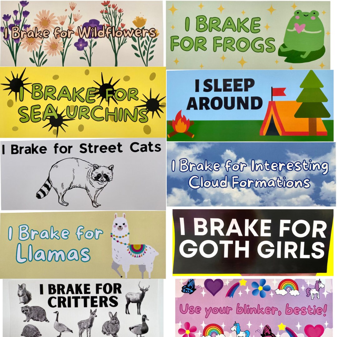 Bumper Sticker Meme Bumper Sticker Funny Bumper Sticker - Etsy