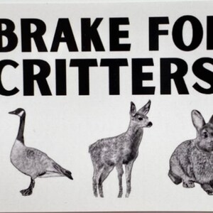 I Brake for Critters Bumper Sticker, I Brake for Animals Bumper Sticker ...