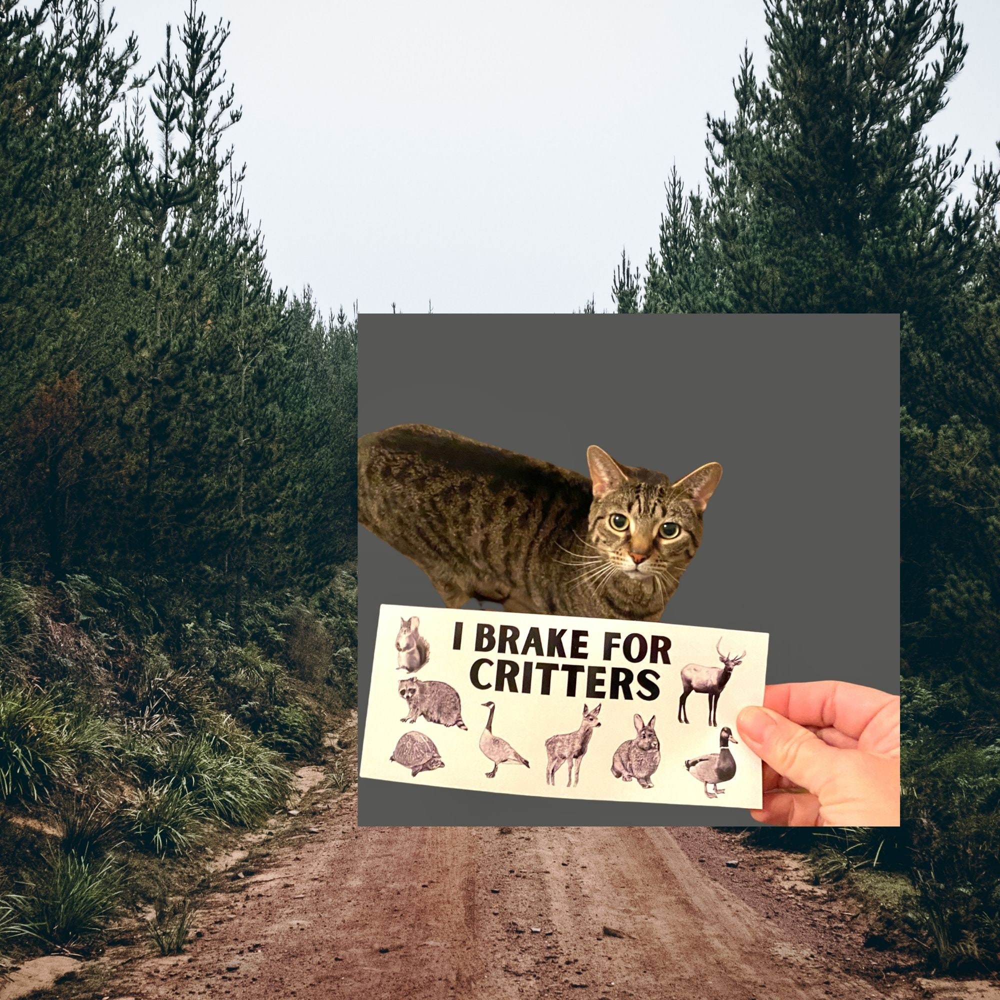 I Brake for Critters Bumper Sticker I Brake for Animals | Etsy