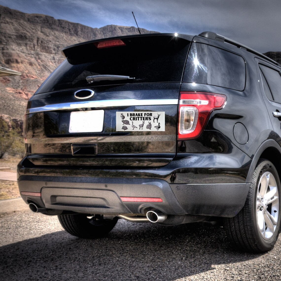 I Brake for Critters Bumper Sticker I Brake for Animals | Etsy