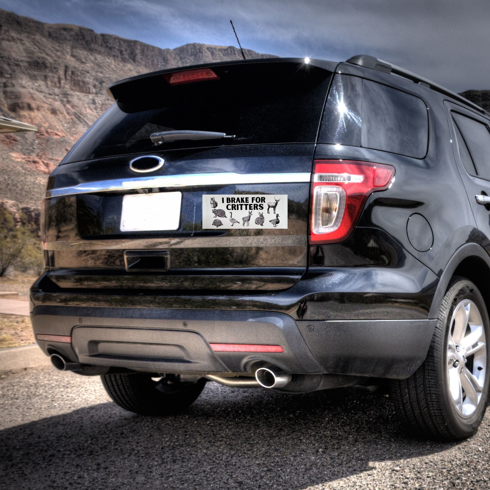 I Brake for Critters Bumper Sticker I Brake for Animals | Etsy