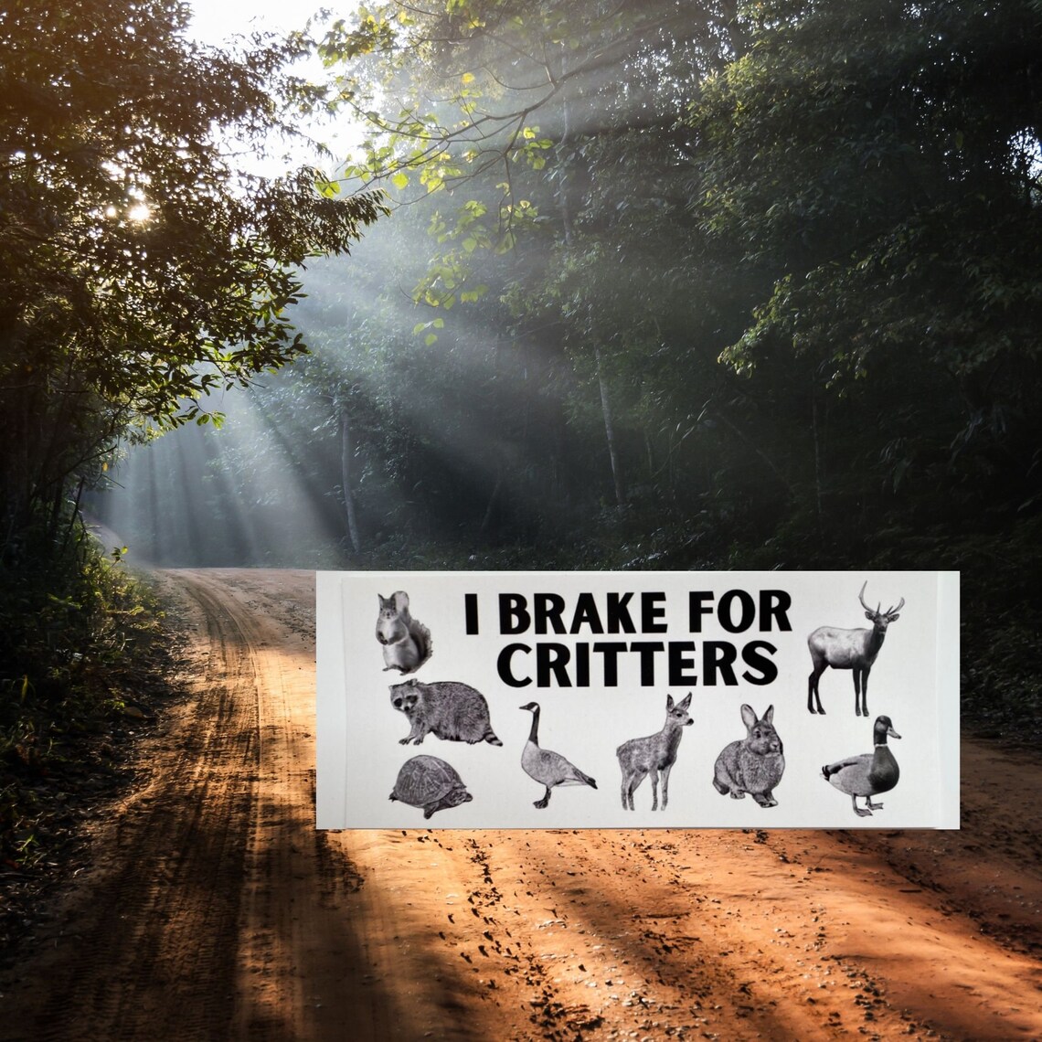 I Brake for Critters Bumper Sticker I Brake for Animals | Etsy