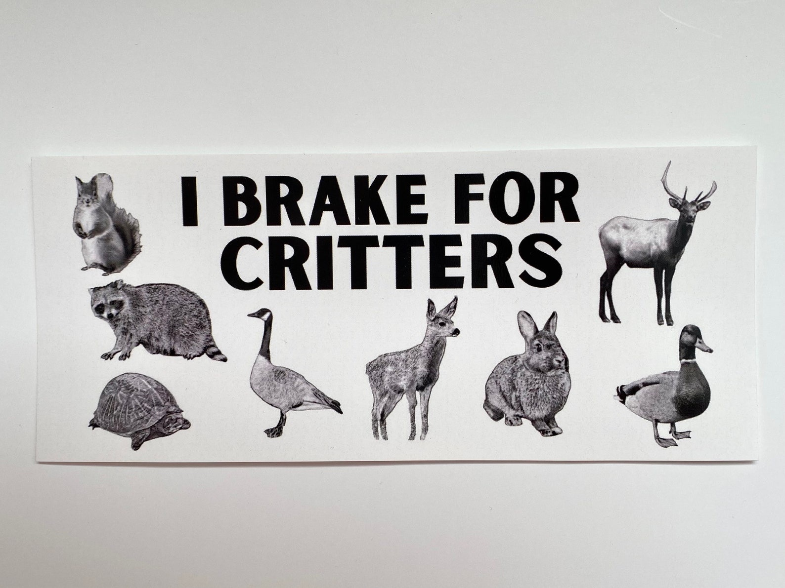I Brake for Critters Bumper Sticker I Brake for Animals | Etsy