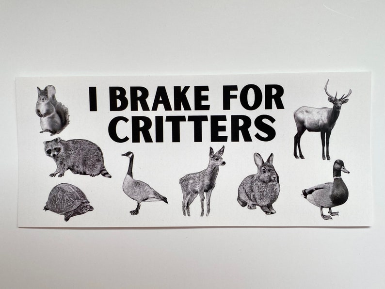 I Brake for Critters Bumper Sticker I Brake for Animals | Etsy