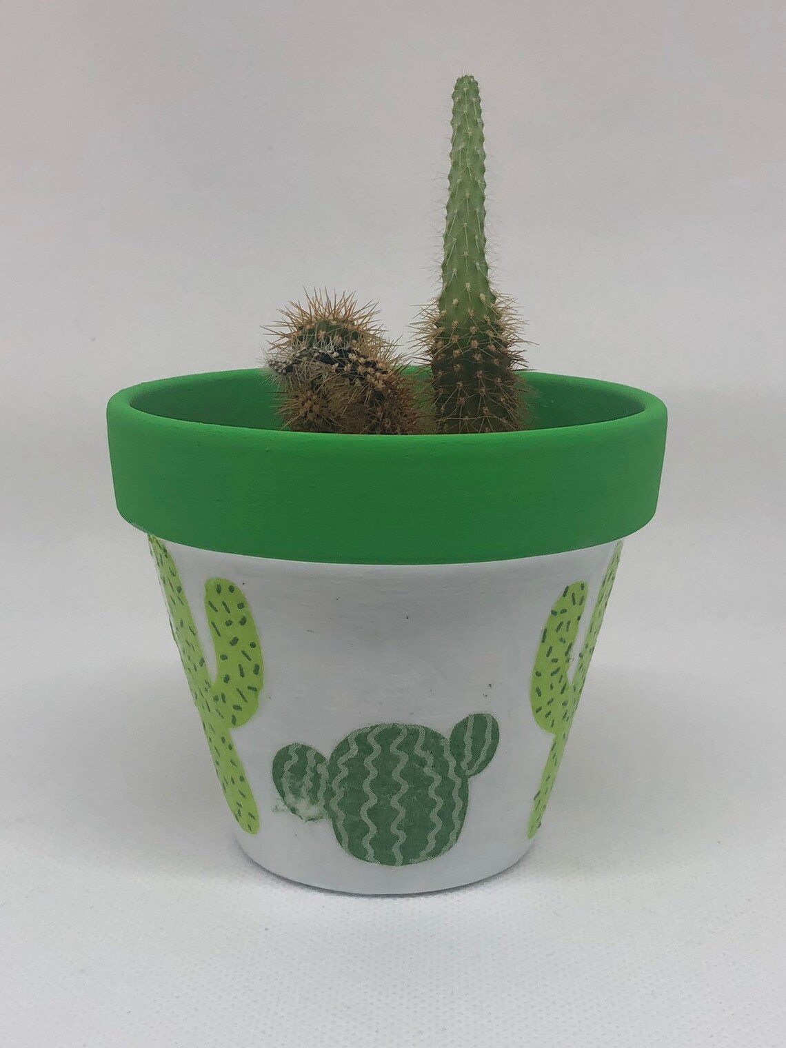 Cactus Decoupage Hand Painted Terracotta Plant Pot - Etsy UK