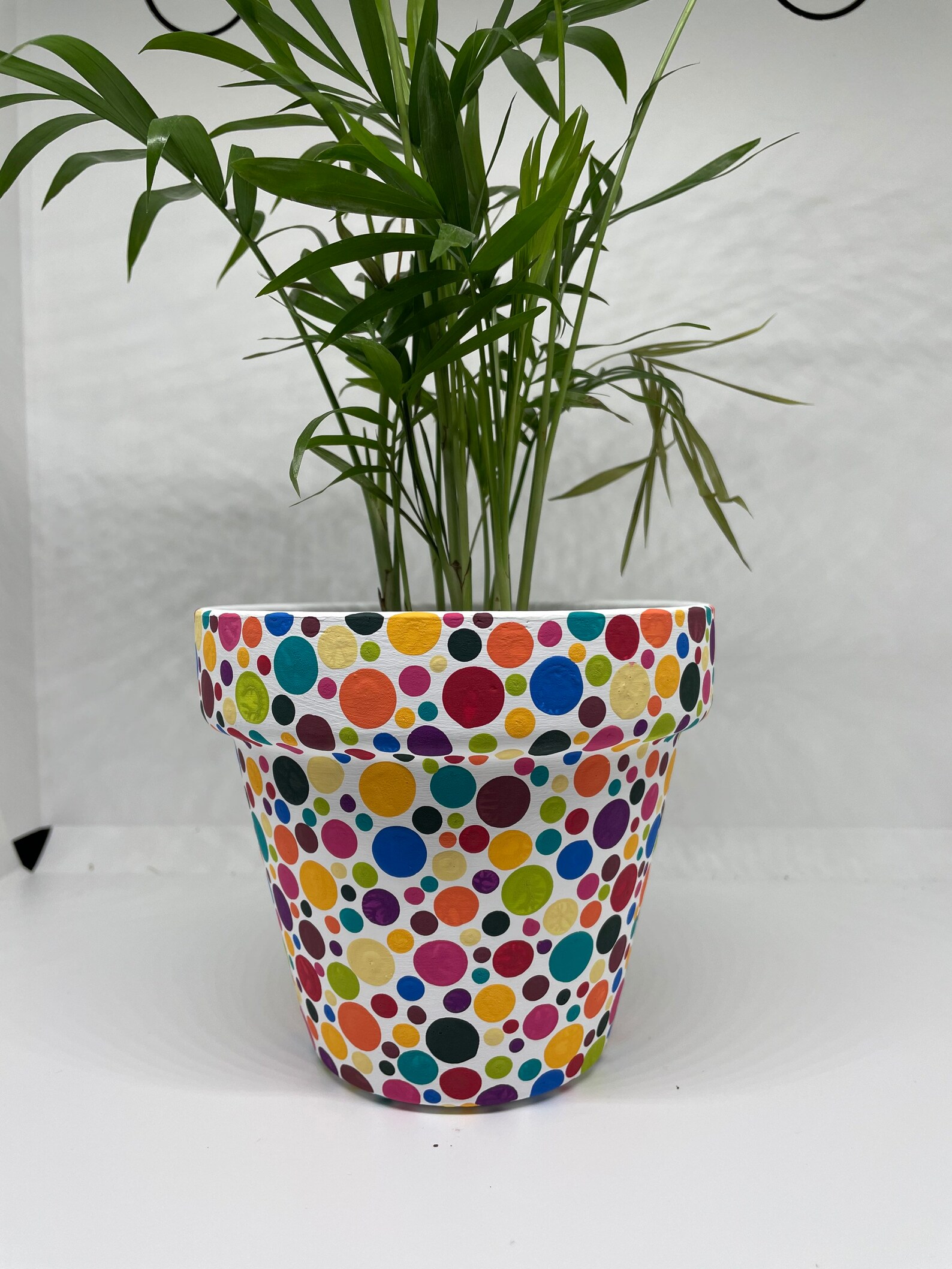 Spotty Hand Painted Plant Pot - Etsy