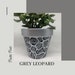 Grey Leopard Print Hand Painted Terracotta Plant Pot - Etsy UK