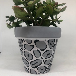 Grey Leopard Print Hand Painted Terracotta Plant Pot - Etsy UK