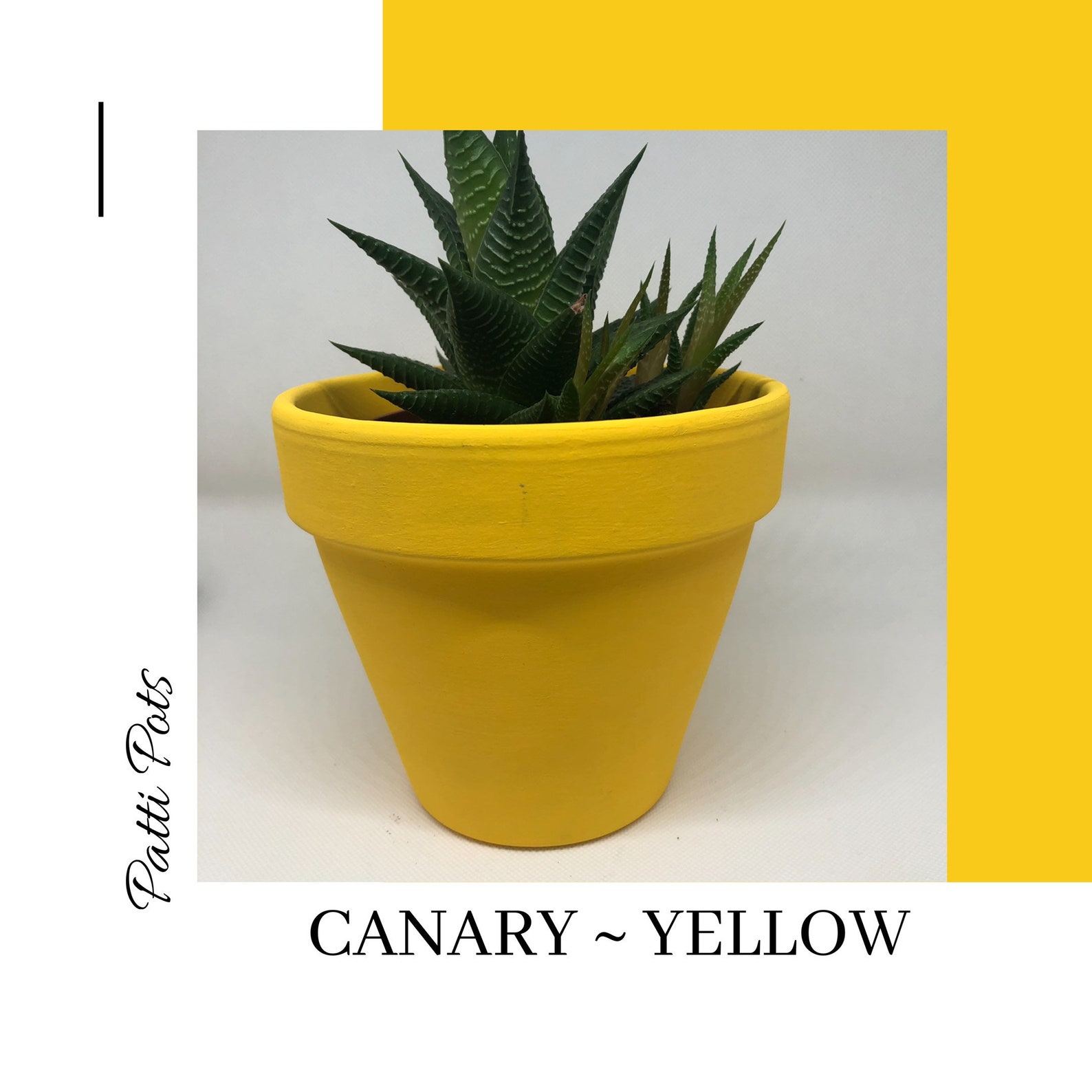 Individual Colour Hand Painted Terracotta Plant Pot - Etsy