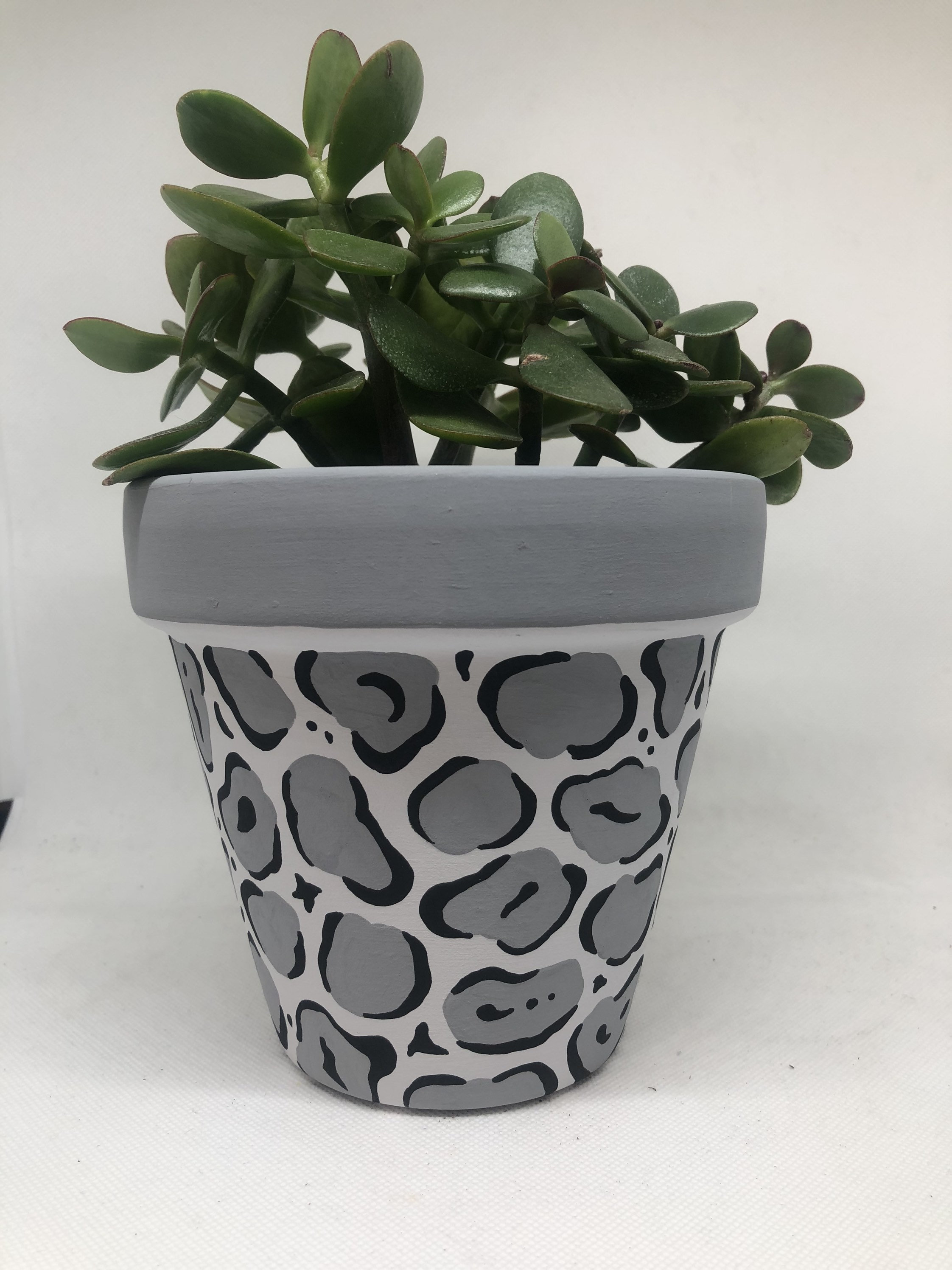 Grey Leopard Print Hand Painted Terracotta Plant Pot - Etsy UK