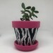 Zebra Print Hand Painted Terracotta Plant Pot - Etsy