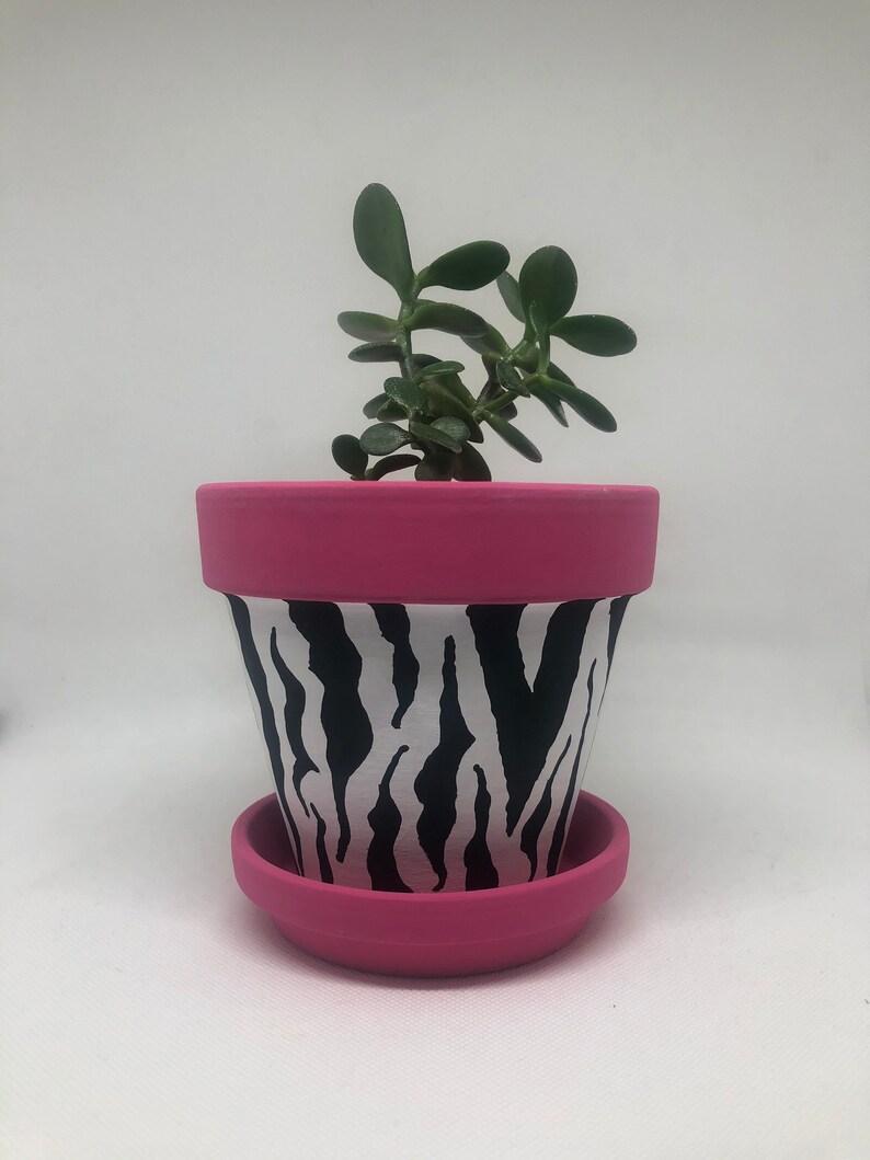 Zebra Print Hand Painted Terracotta Plant Pot | Etsy