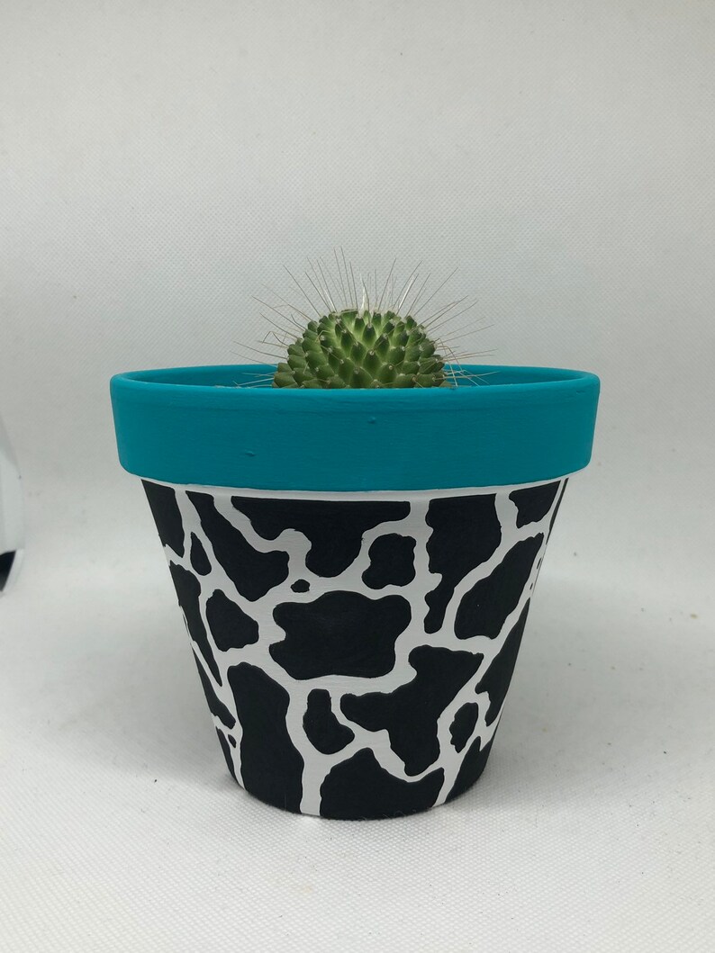 Cow Print Hand Painted Terracotta Plant Pot - Etsy