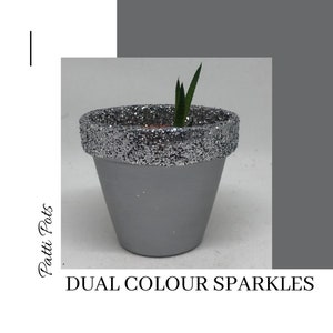 Large Hand Painted Dual Colour Glitter Terracotta Plant Pot - Etsy