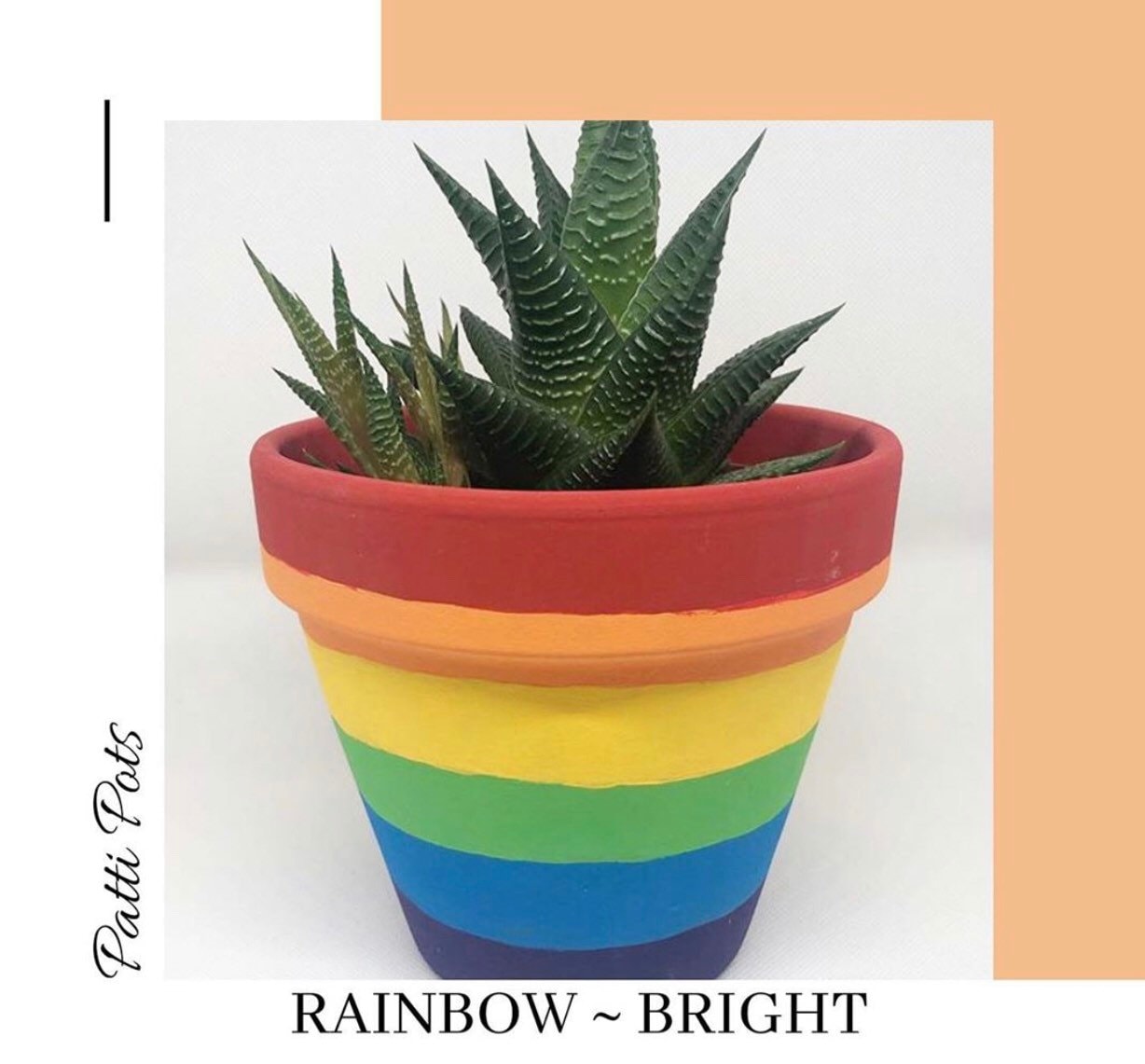 Rainbow Hand Painted Plant Pot - Etsy