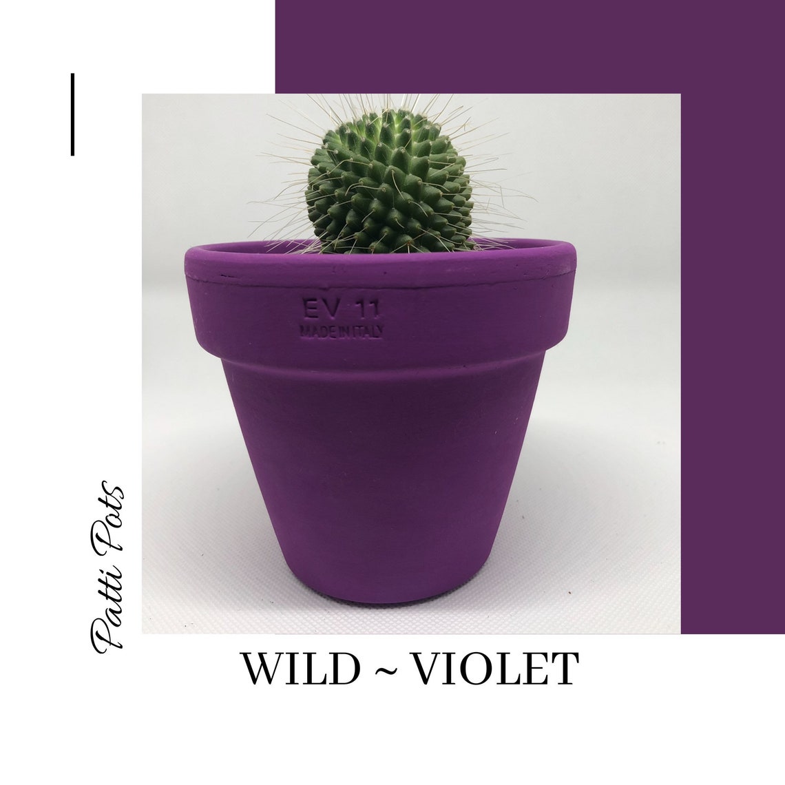 Individual Colour Hand Painted Terracotta Plant Pot - Etsy